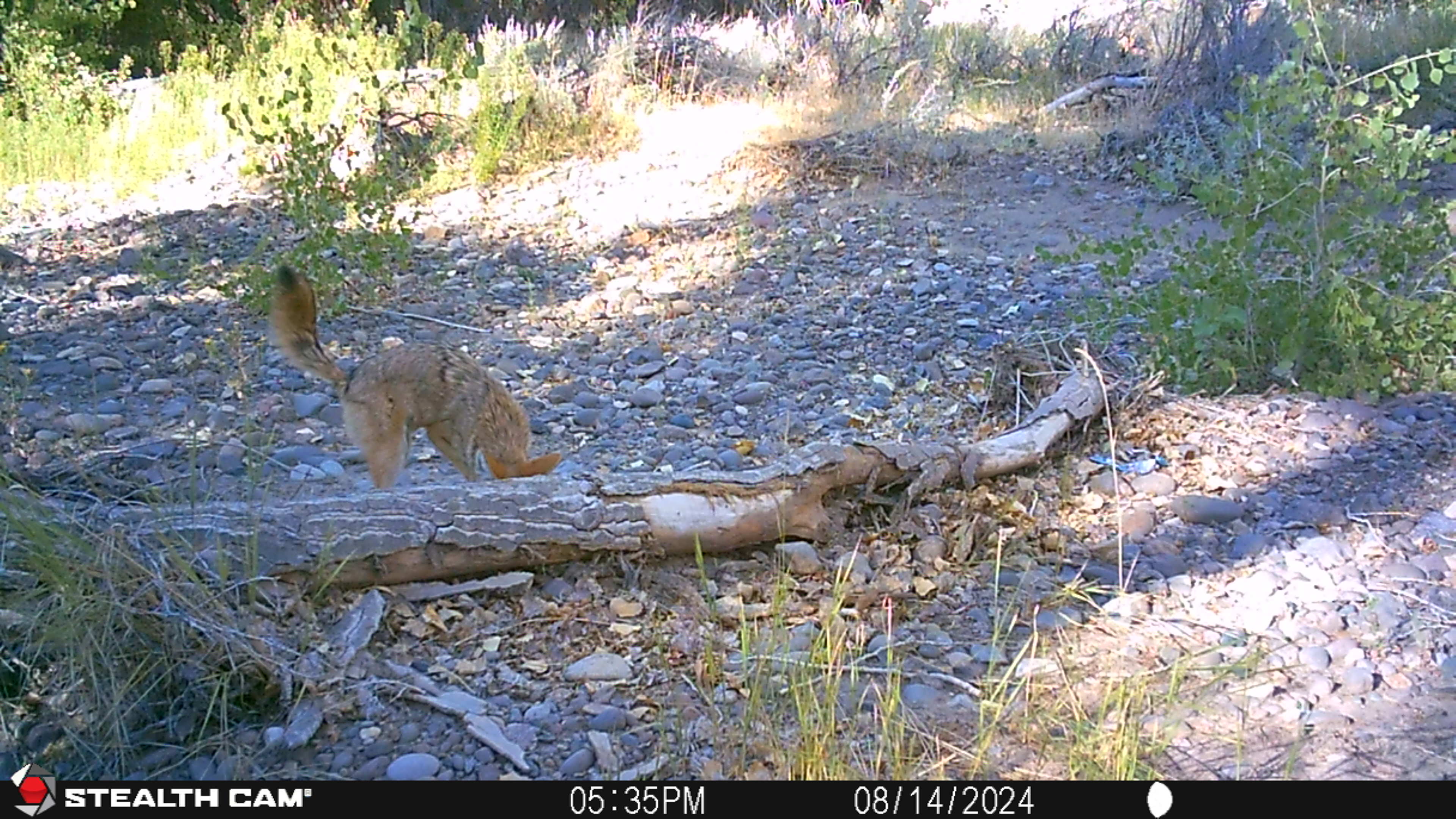 Blog – Northern Desert Photography