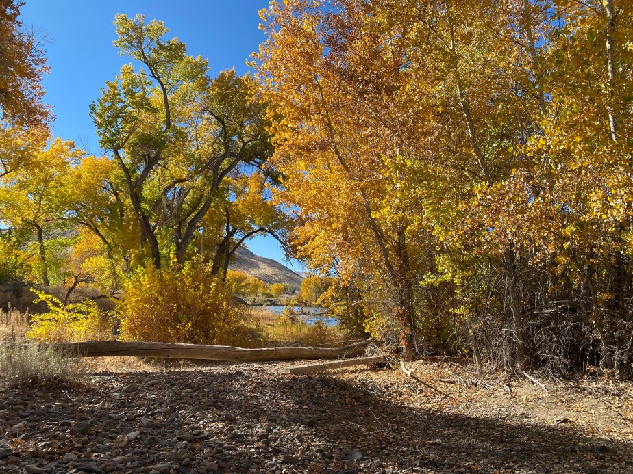 Autumn, the Briefest Season – Northern Desert Photography
