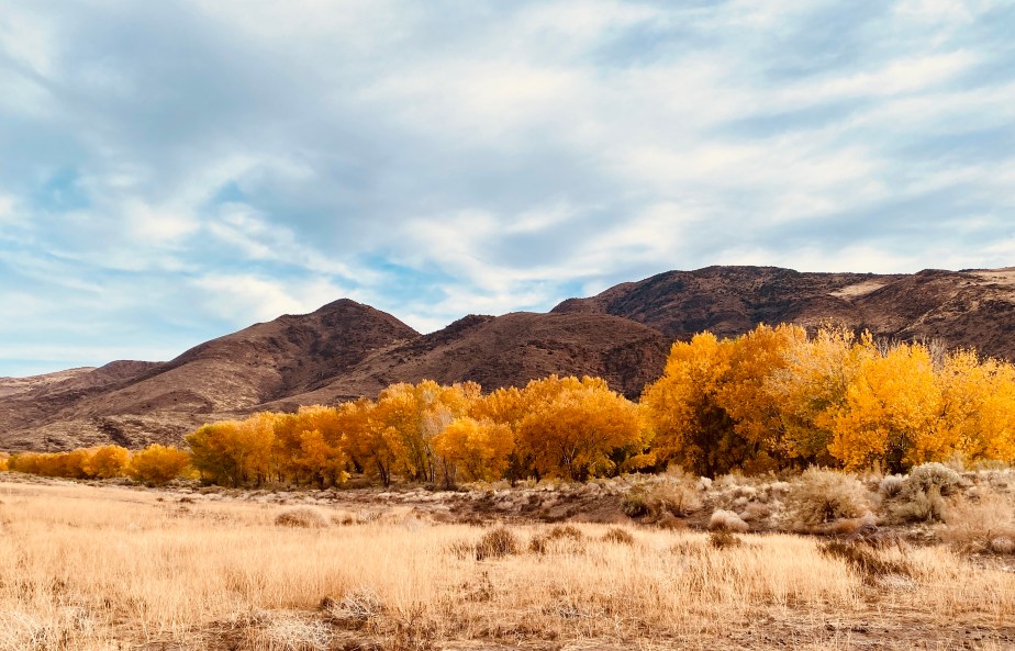 Autumn, the Briefest Season – Northern Desert Photography